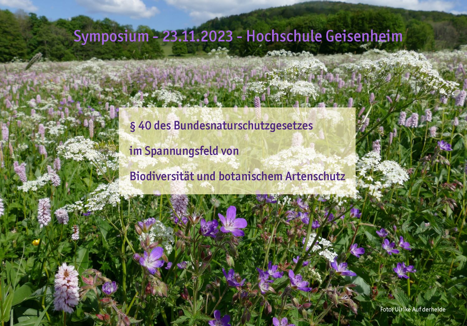 Symposium-§-40-Foto-Ulrike-Aufderheideklein - VWW